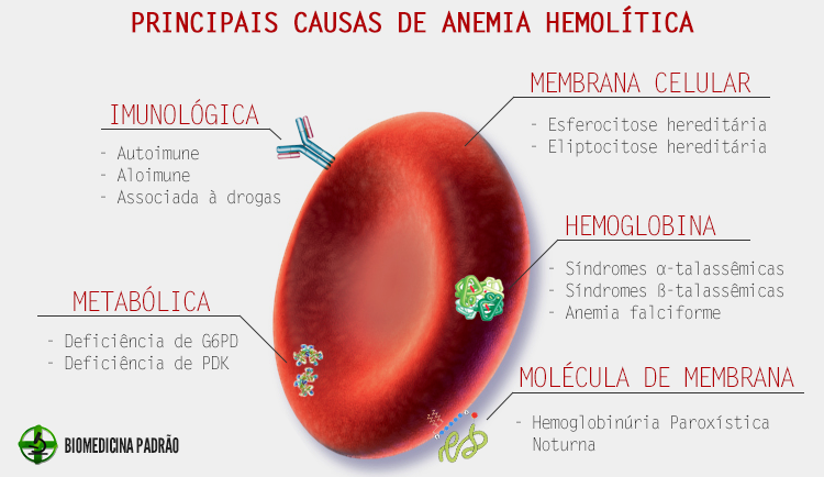 LA ANEMIA: TIPOS DE ANEMIA